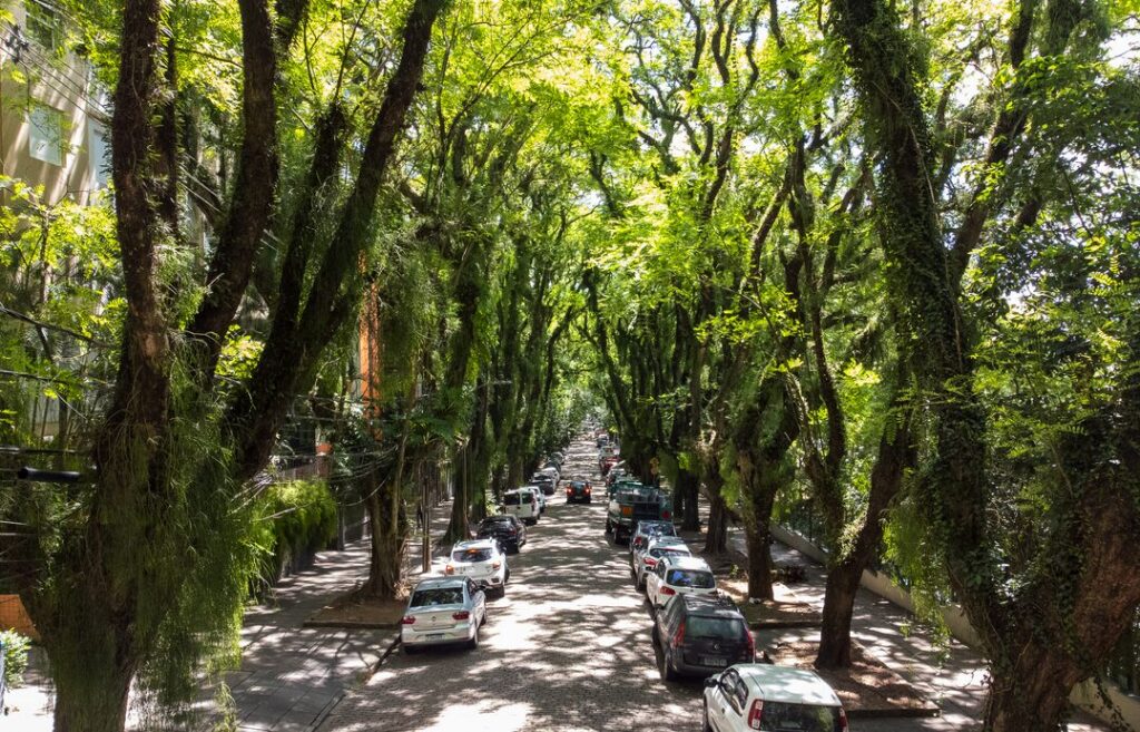 Lei altera legislação ambiental e define novas regras para podas de ...